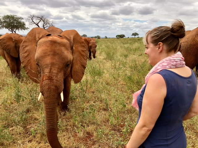 Books About Elephants - Debbie Ethell